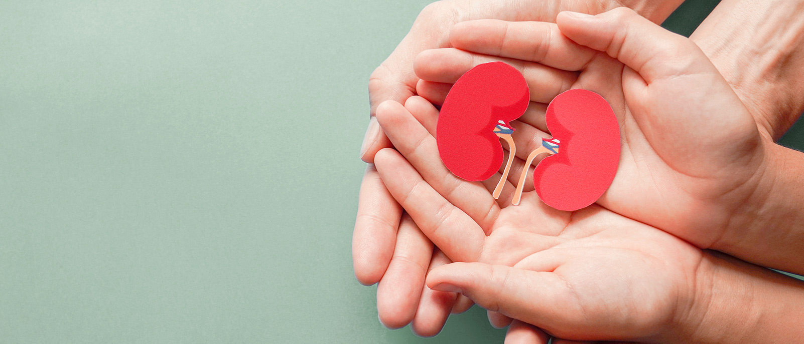 Duopharma Sets to be at The Forefront of Effervescent Manufacturing ...